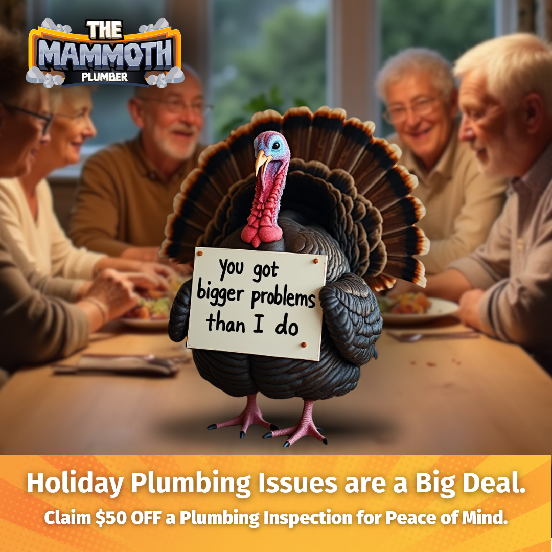 Thanksgiving 2024 – Turkey Problems – The Mammoth Marketing Cave